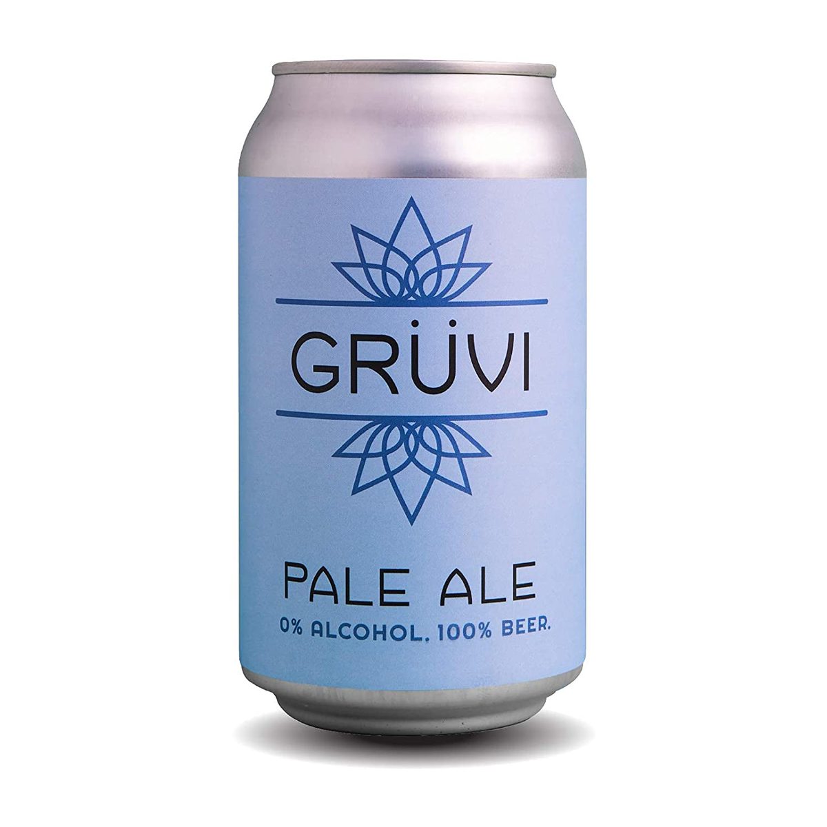 Gruvi Review: A Comprehensive Guide to Gruvi Beer Styles